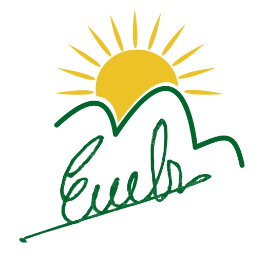 icono | Reclaim your mind